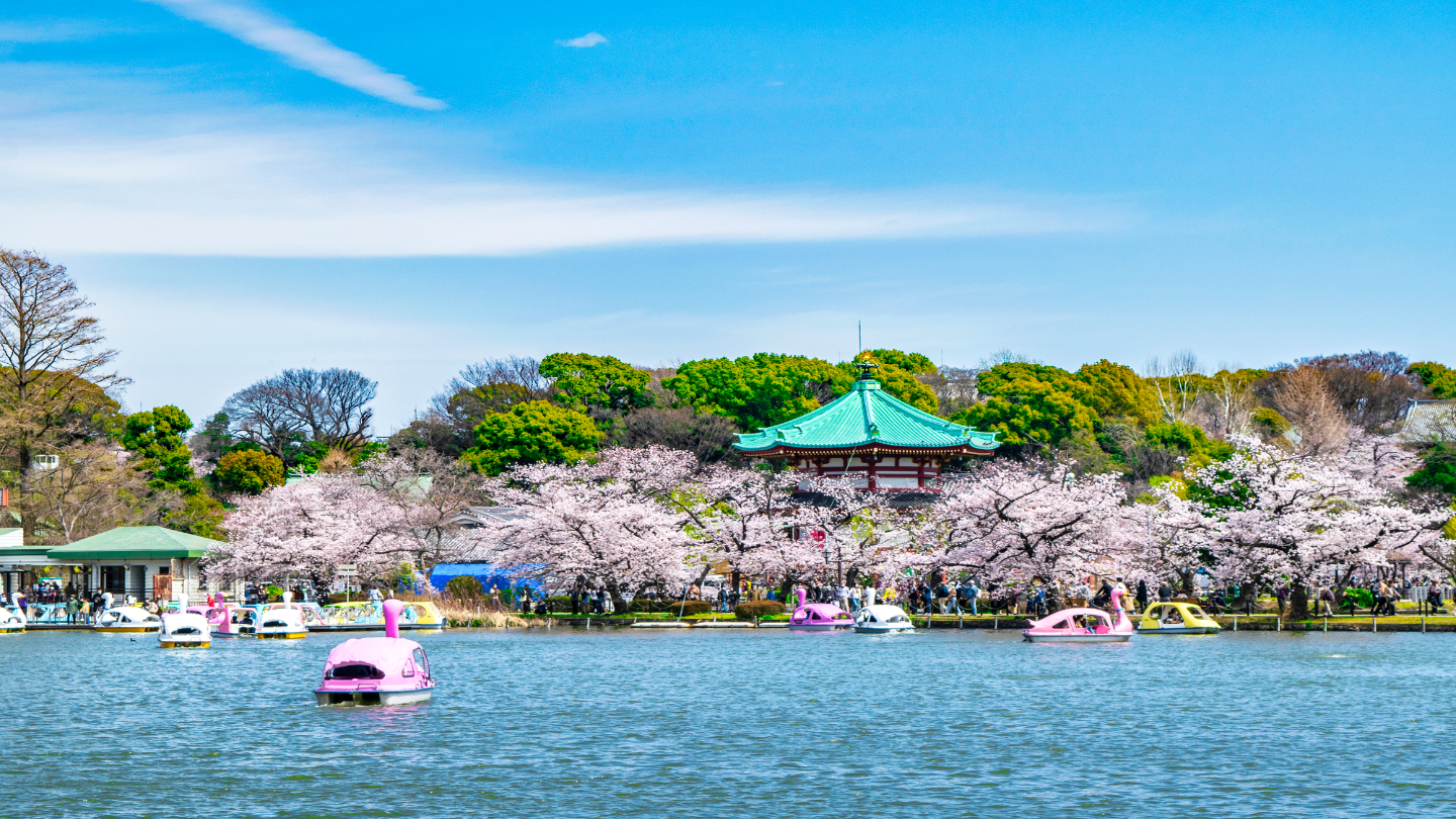 上野からお台場までの行き方を詳しく解説！最短・最安の移動手段をチェック | NEWT（ニュート）